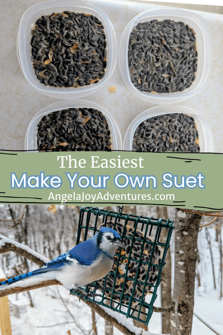 How to Make Your own Suet Blocks at home - Angela Joy Adventures