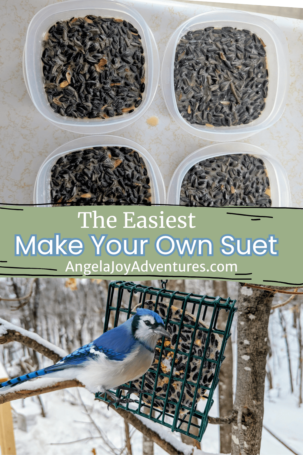 How to Make Your own Suet Blocks at home - Angela Joy Adventures