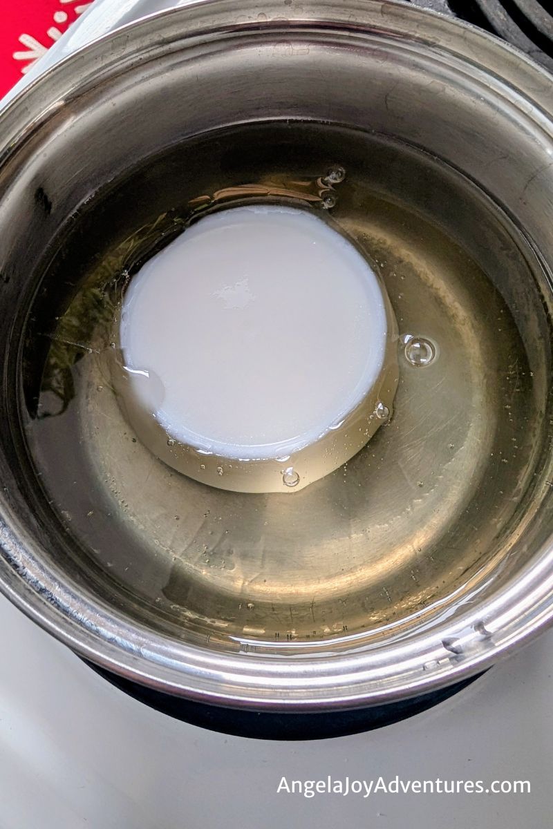 How to Make Your own Suet Blocks at home - Angela Joy Adventures