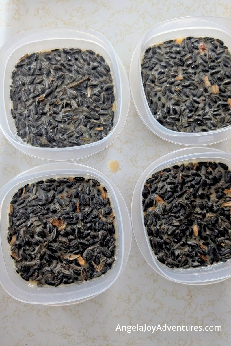 How to Make Your own Suet Blocks at home - Angela Joy Adventures