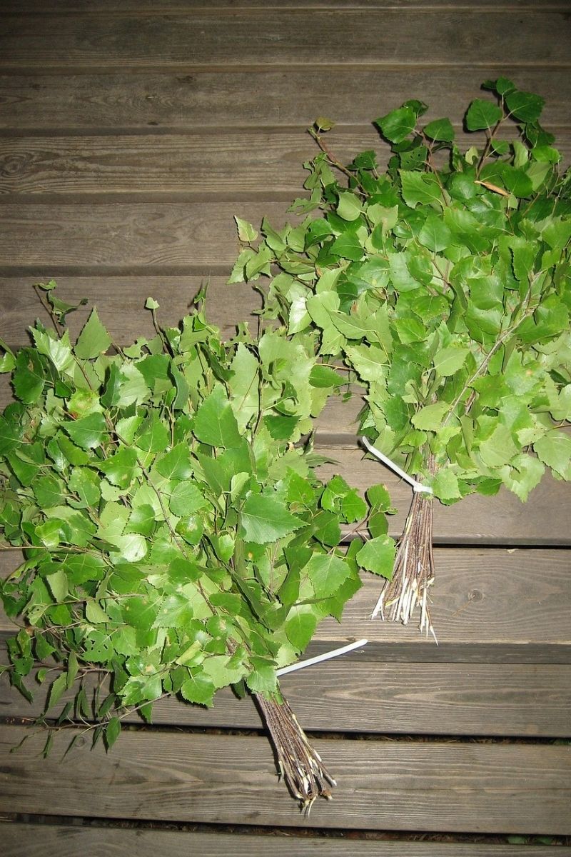 Sweating in a Sauna: History, Benefits, and Traditions - Angela Joy ...